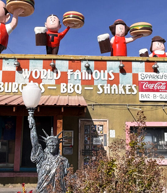 new mexico bbq adventure ftr