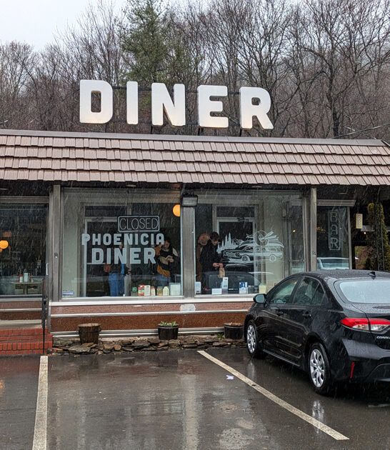 new york best diner ftr