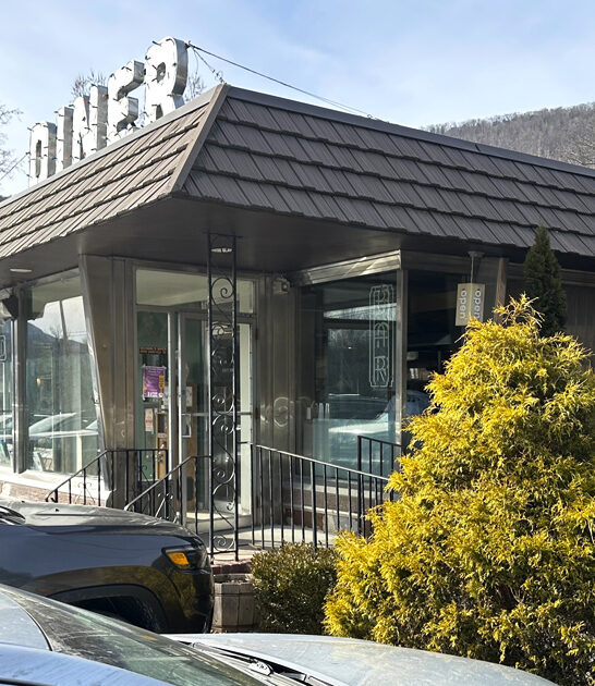 new york diner delicious ftr