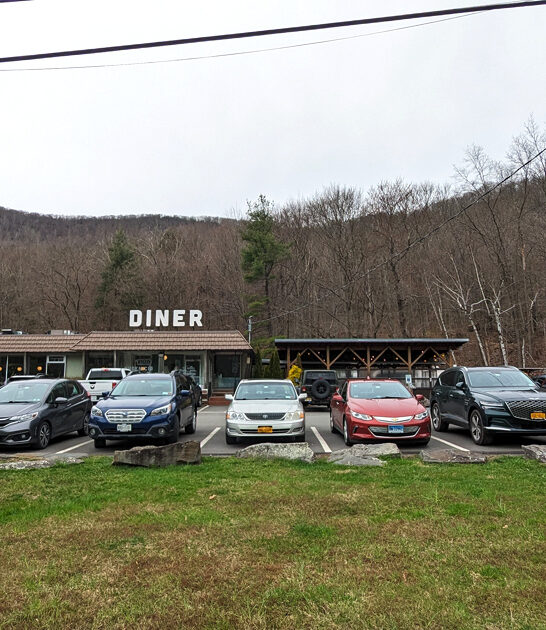 new york homey diner ftr