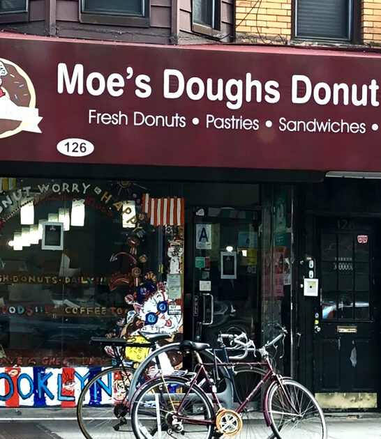 new york locals fritters ftr