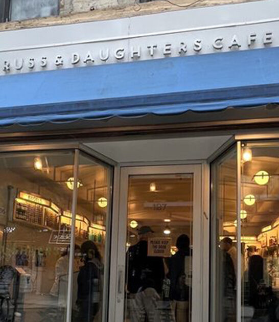 new york matzo ball ftr