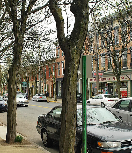 new york rare antiques ftr