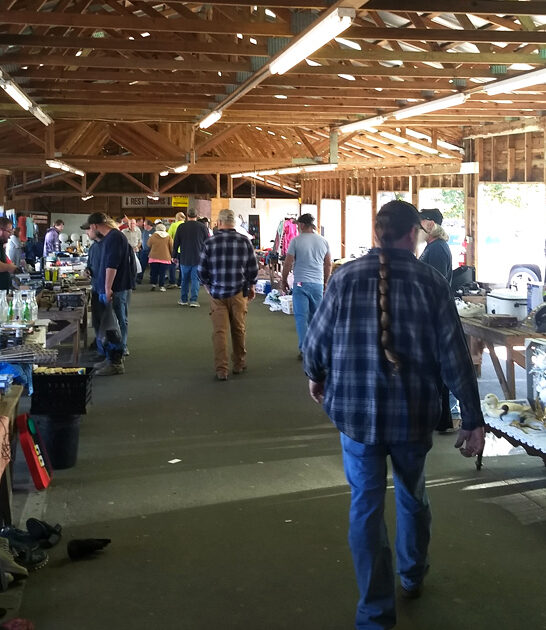 north carolina bargain hunt ftr