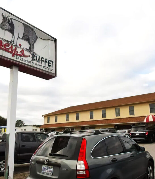 north carolina restaurant buffet ftr