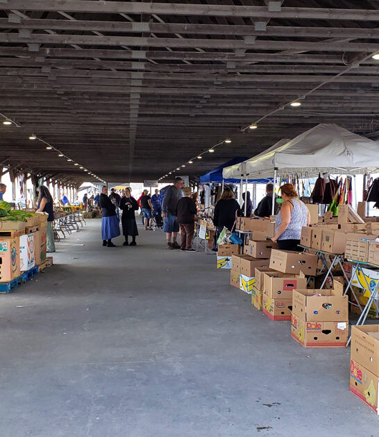 ohio swap treasure stop ftr