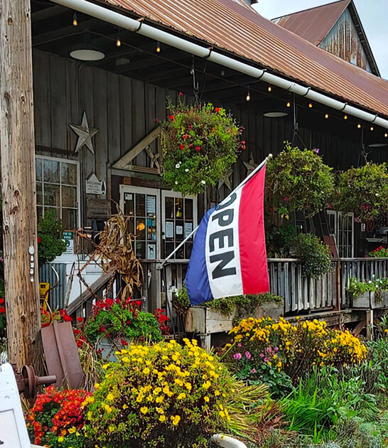 oregon junk store bargains ftr