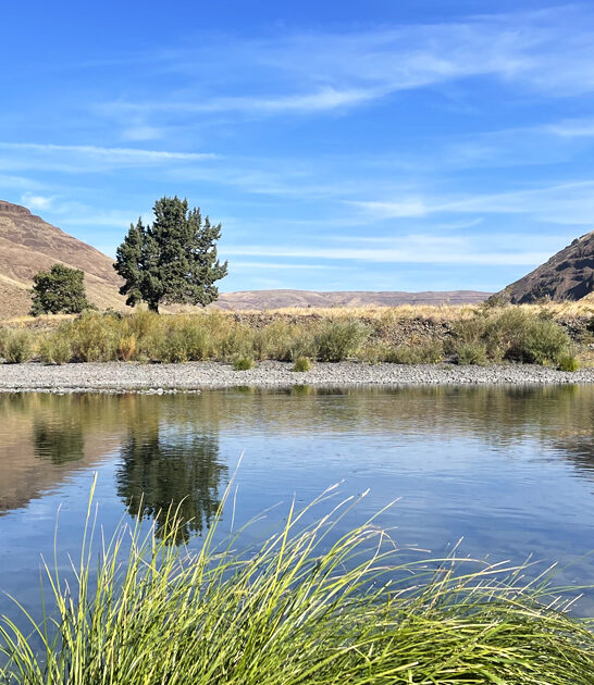 oregon scenic nature escape ftr