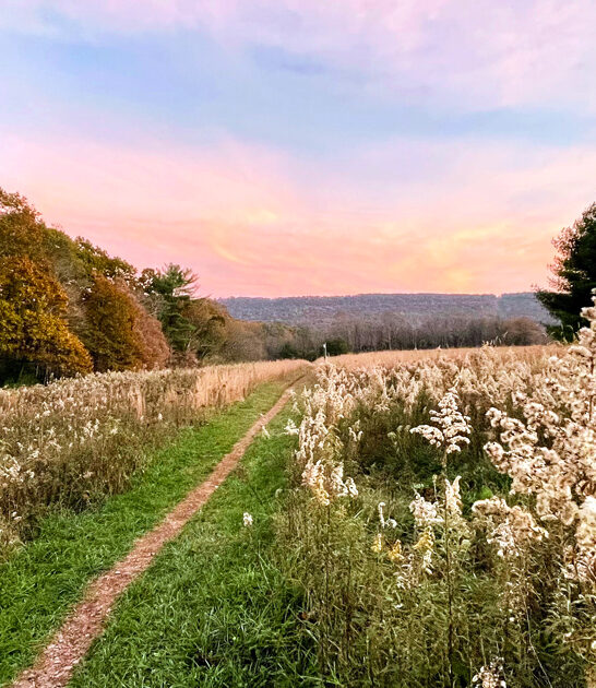 pennsylvania serene outdoor retreat ftr