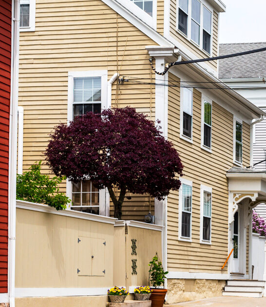 perfect underrated connecticut town ftr