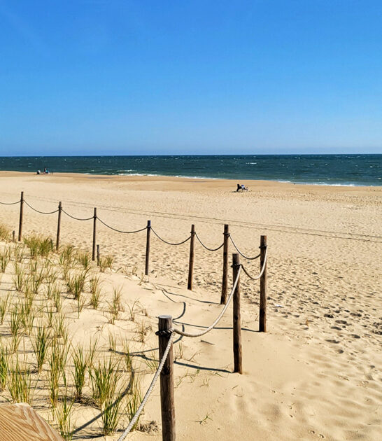 postcard worthy delaware beach ftr