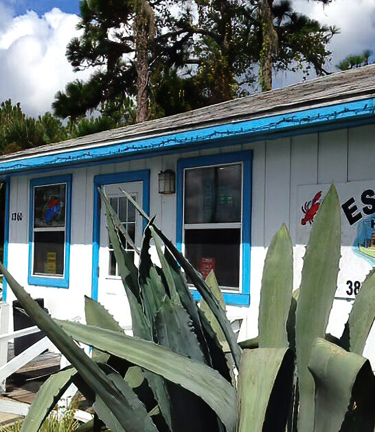 restaurant florida fried clams ftr