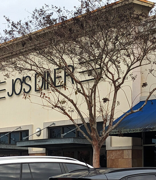 restaurant mississippi serves hash ftr