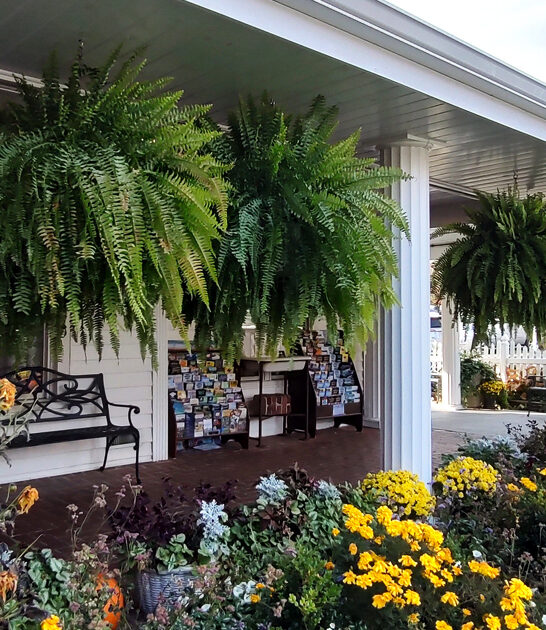 restaurant north carolina homey ftr