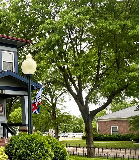 ribeye steak restaurant nebraska ftr