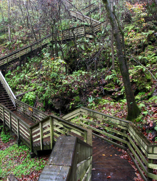 stunning florida state park ftr