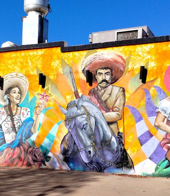 texas delicious chimichangas ftr