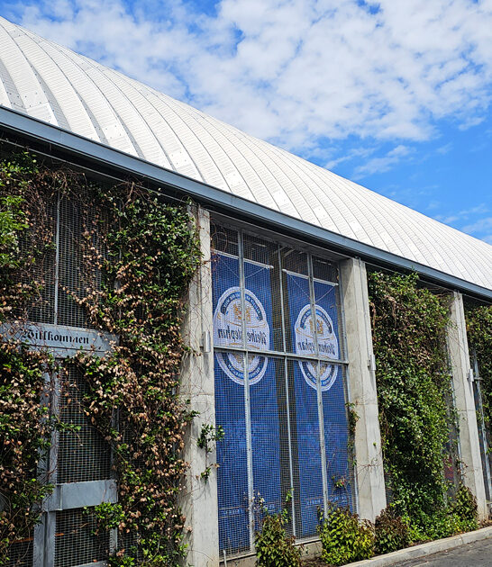texas memorial day pretzels ftr
