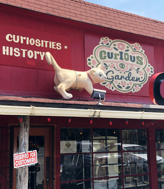 texas vintage treasure shop ftr