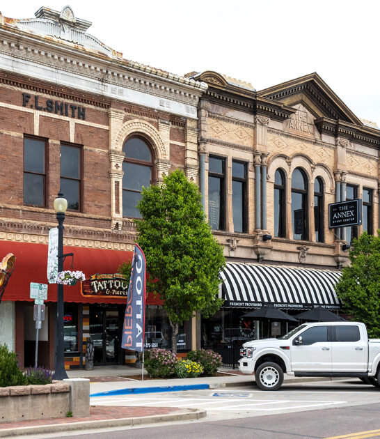 tiny budget town colorado ftr