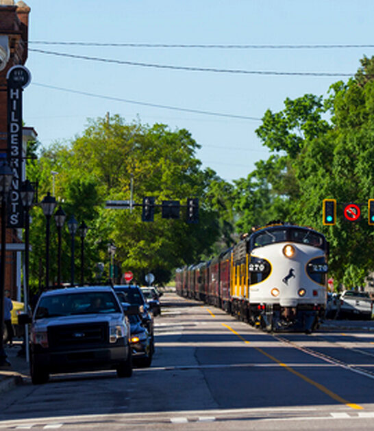 towns gorgeous georgia ftr