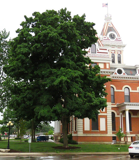 towns illinois live budget ftr