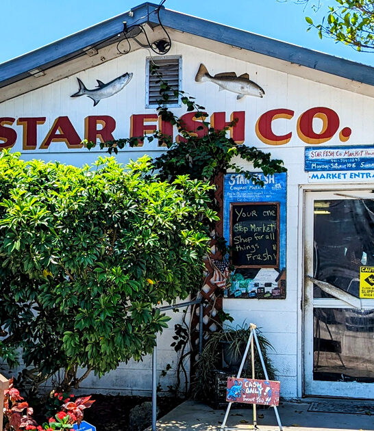 unassuming restaurants florida seafood ftr
