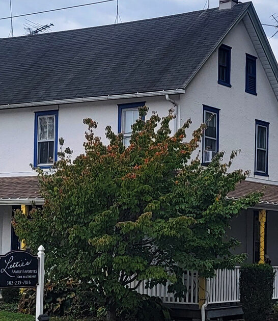under radar restaurant delaware ftr
