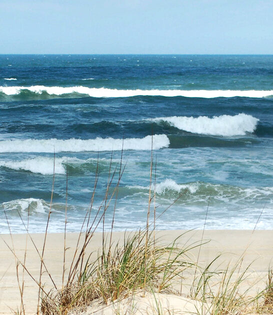 underrated virginia beach ftr