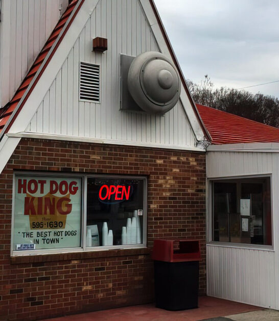 virginia best burgers diner ftr