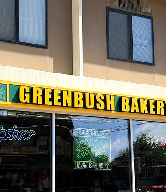 virginia chicken steak drive ftr