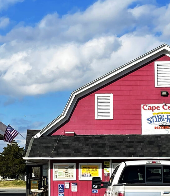 virginia tasty fish sandwich ftr