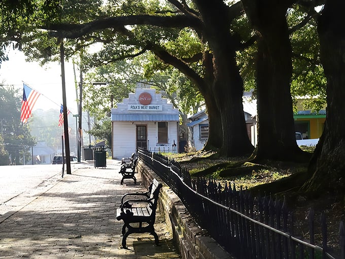 Woodville's historic Main Street welcomes visitors with its timeless charm, where brick buildings and covered walkways tell stories of Mississippi's past.