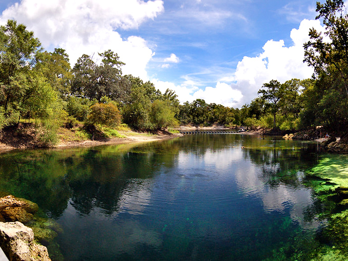 Nature's perfect mirror reflecting Florida's true soul&mdash;a spring so pristine you'd think someone Photoshopped reality. Breathtaking doesn't begin to cover it.