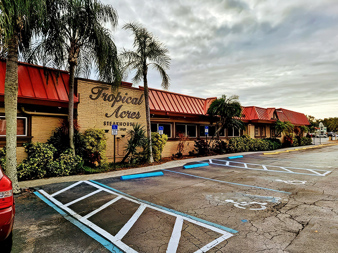 Tropical Acres stands proudly amid swaying palms, its modest exterior belying the culinary treasures within. Old Florida charm at its finest.