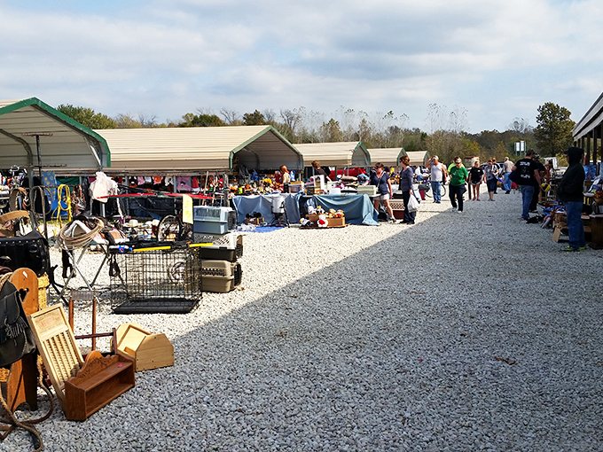 Treasure hunters navigate the gravel pathways between vendor stalls, where yesterday's castoffs transform into tomorrow's conversation pieces.