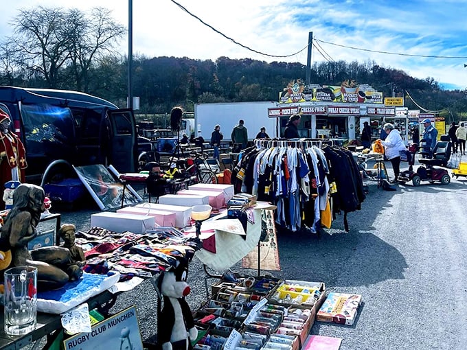 Treasure hunting begins here! Rows of vendors display their wares under the Ohio sky, where one person's castoffs become another's prized possessions.