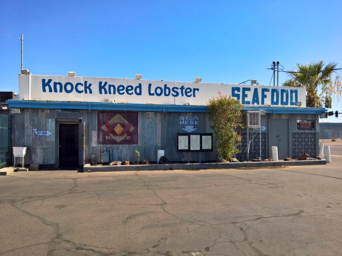 The unassuming corrugated exterior of Knock Kneed Lobster stands as a testament that desert treasures often come in humble packages.