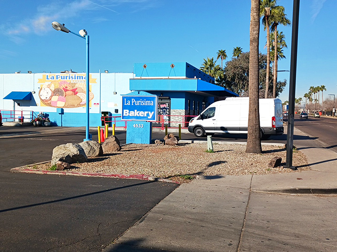 The blue and white exterior of La Purisima stands like a desert oasis, promising authentic Mexican flavors beneath the watchful Arizona palms.