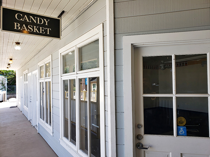 The unassuming exterior of Julian Candy Basket belies the sugar-fueled wonderland waiting inside. Childhood dreams, packaged in clapboard and nostalgia.