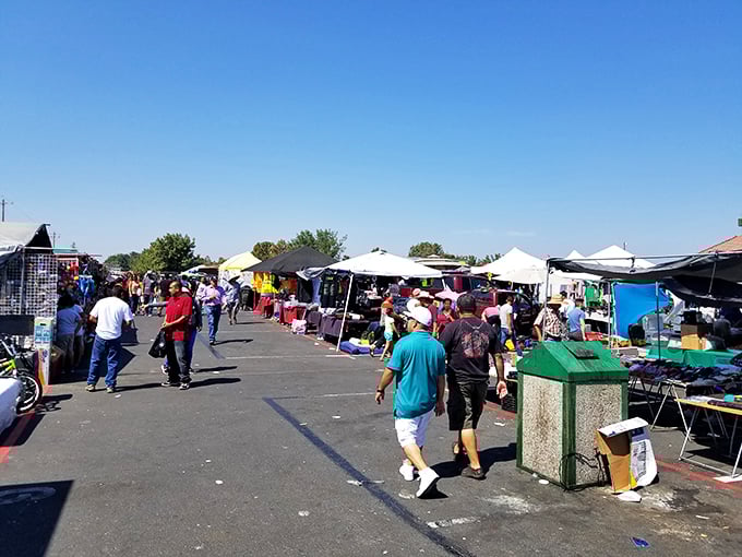 The weekend treasure hunt begins! Shoppers navigate the bustling aisles of El Rematito, where one person's castoffs become another's prized discoveries.