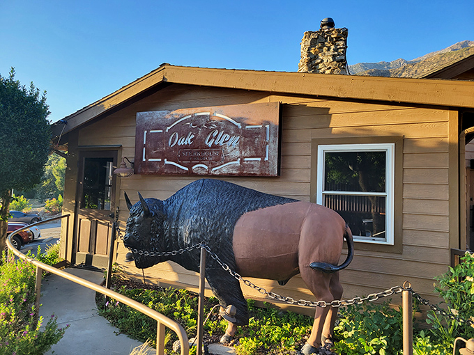 The iconic buffalo statue stands sentinel outside Oak Glen Steak House, a rustic welcome that says "leave your diet at the door."