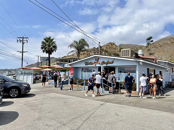 The unassuming white building with its cheerful red trim might not scream "culinary destination," but locals know this seafood shack holds treasures that would make Neptune himself line up.