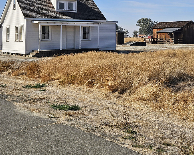 The golden California light bathes these historic structures, standing like sentinels of the past against the vast Central Valley horizon.