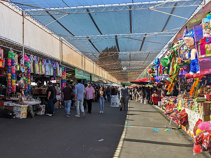 Endless rows of covered stalls stretch like a treasure hunter's paradise under California's perfect blue sky.