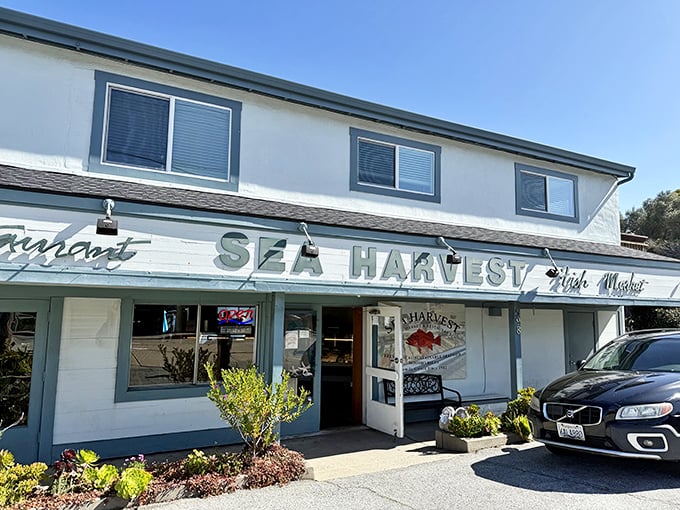 The unassuming exterior of Sea Harvest belies the seafood treasures within. Like finding a pearl in an oyster&mdash;unexpected and wonderful.