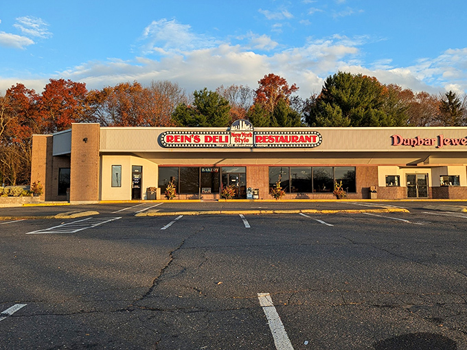 The iconic Rein's Deli sign glows like a beacon for hungry travelers on I-84, promising authentic New York deli magic in the heart of Connecticut.