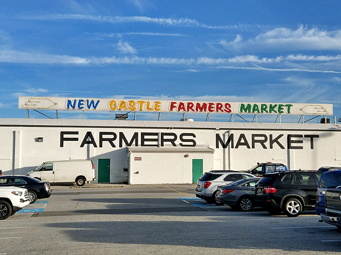The rainbow-colored sign atop New Castle Farmers Market promises a kaleidoscope of treasures inside, like a retail Narnia hiding behind an unassuming facade.