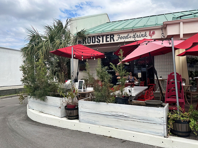 The Rooster's charming exterior with its mint-green roof and vibrant red umbrellas feels like Florida's answer to a cozy Southern porch party.