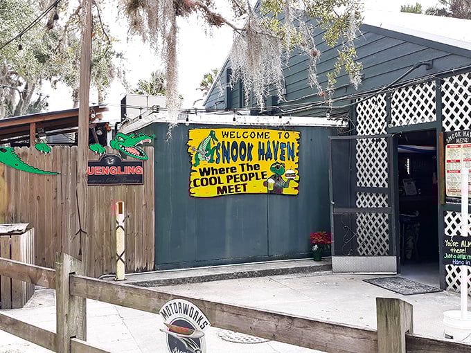 1. people drive from all over florida for the outrageously good seafood at this humble restaurant